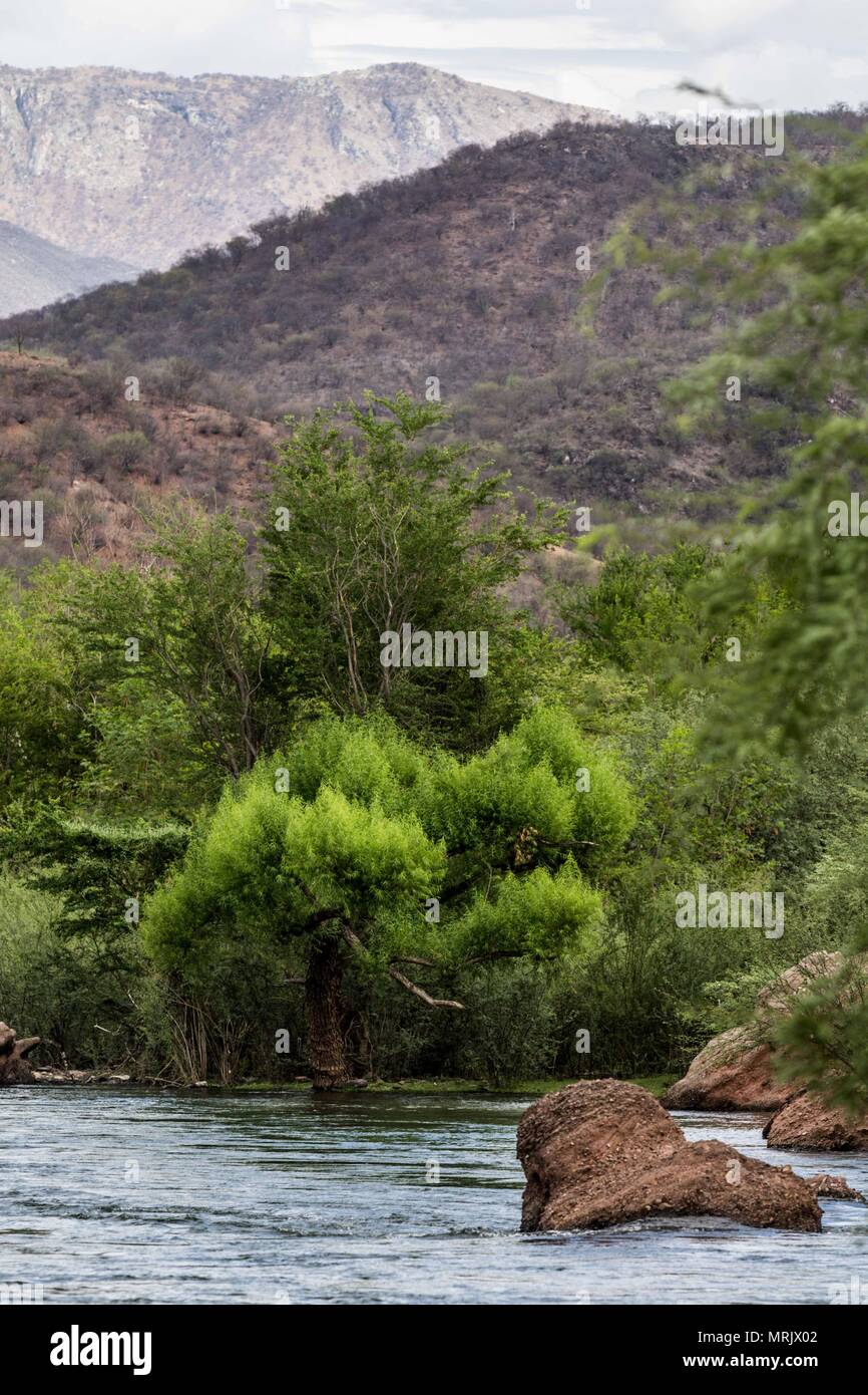 great flow of millions of cubic meters of water from the Yaqui River ...