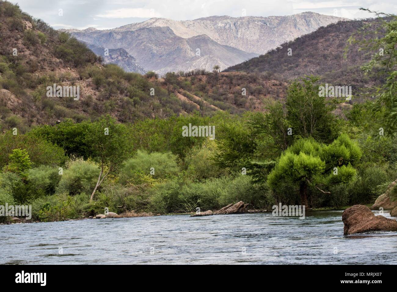 great flow of millions of cubic meters of water from the Yaqui River ...