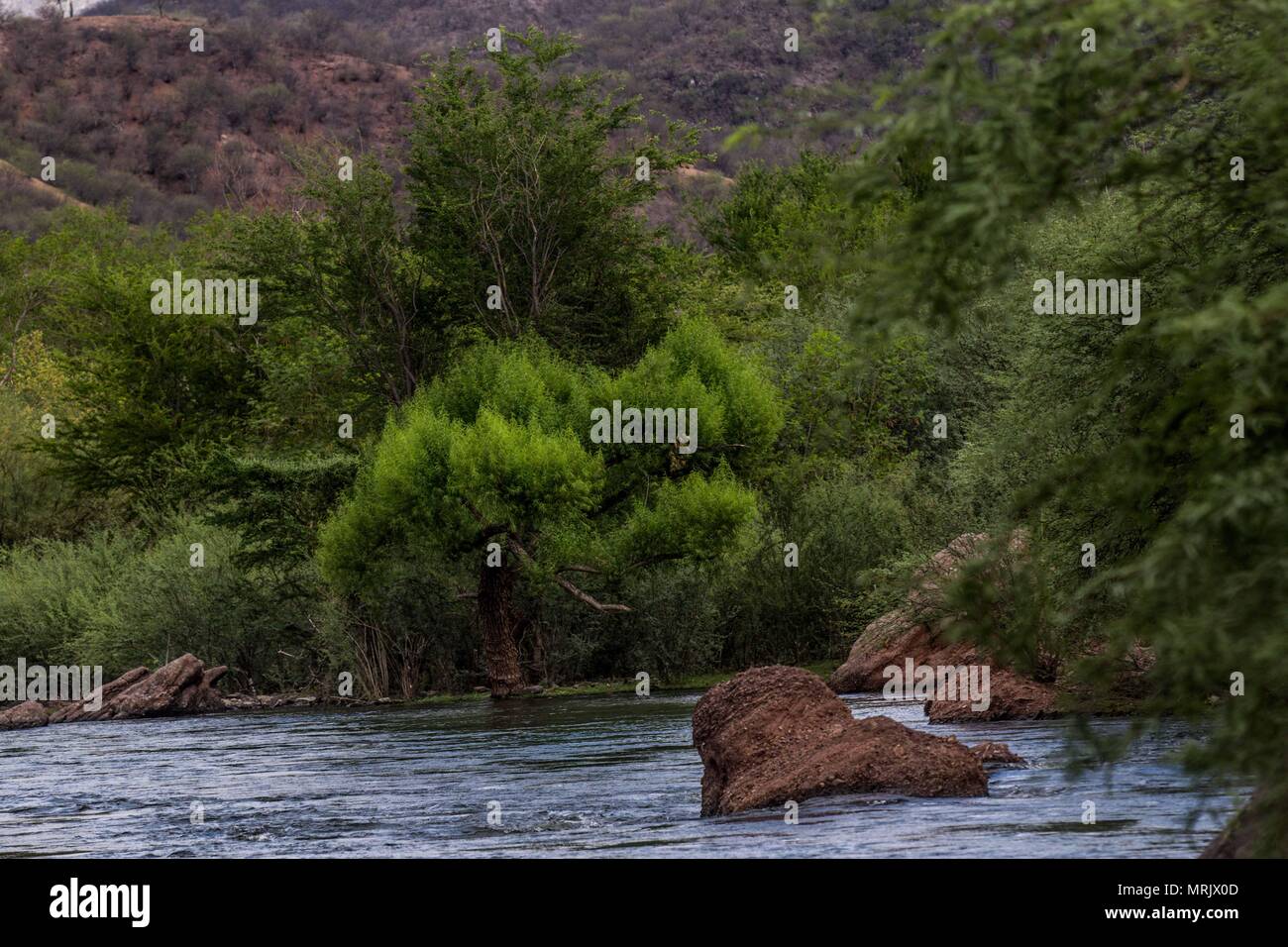 great flow of millions of cubic meters of water from the Yaqui River ...