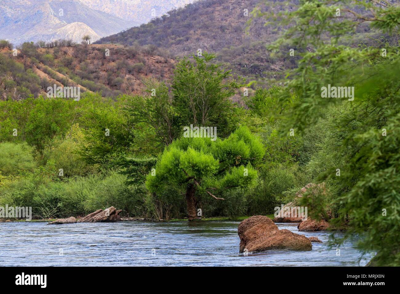 great flow of millions of cubic meters of water from the Yaqui River ...