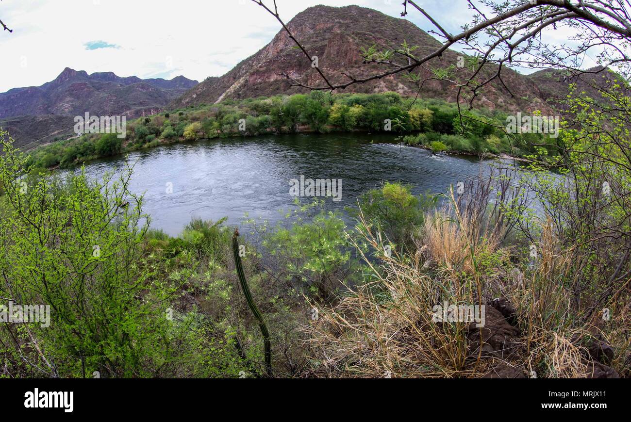 great flow of millions of cubic meters of water from the Yaqui River ...