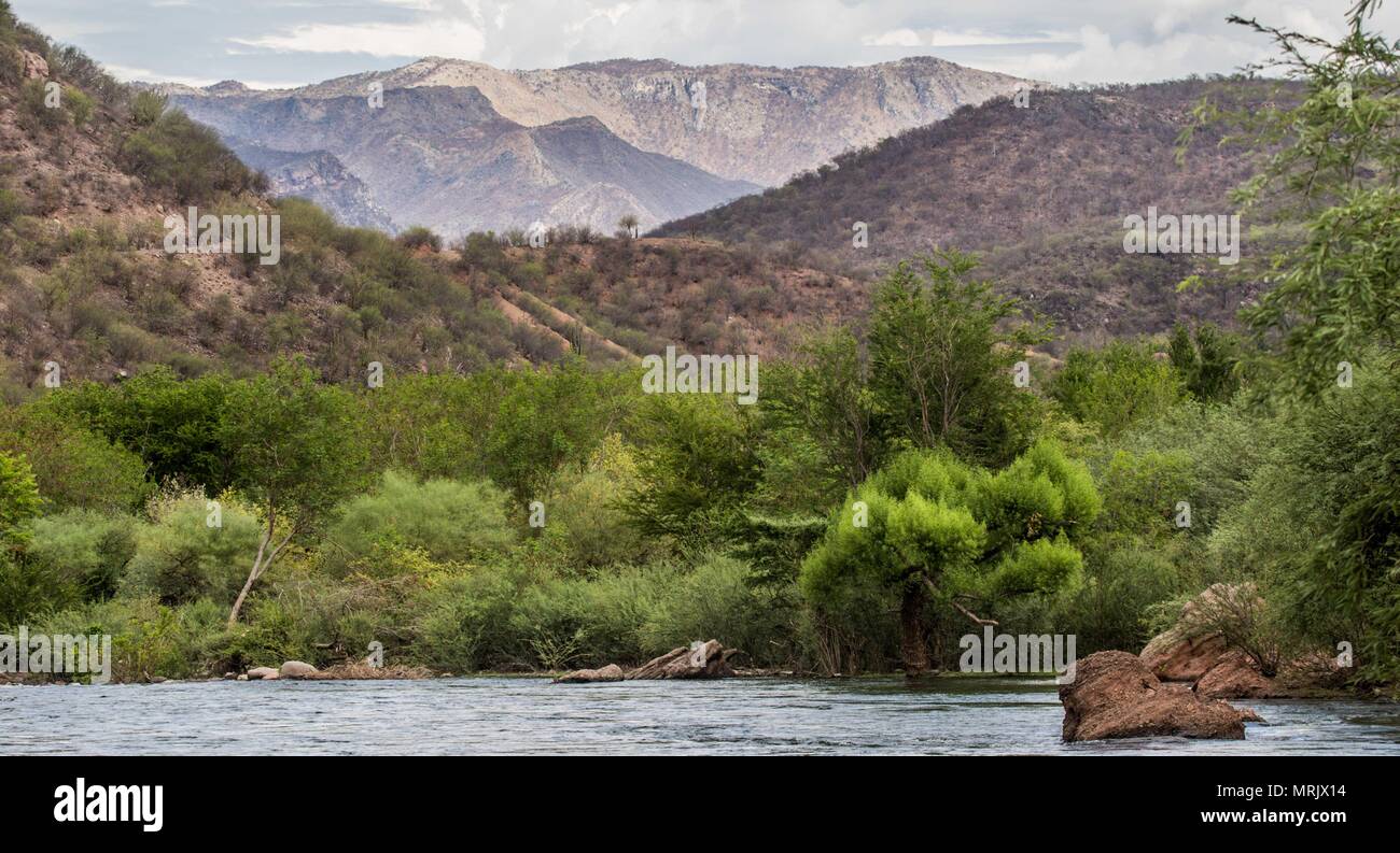 great flow of millions of cubic meters of water from the Yaqui River ...