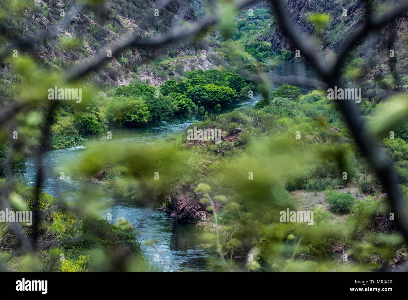 great flow of millions of cubic meters of water from the Yaqui River ...