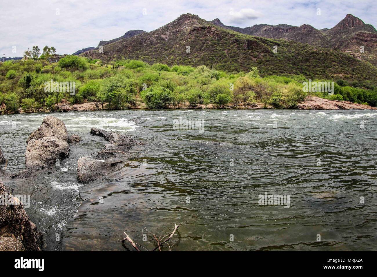 great flow of millions of cubic meters of water from the Yaqui River ...