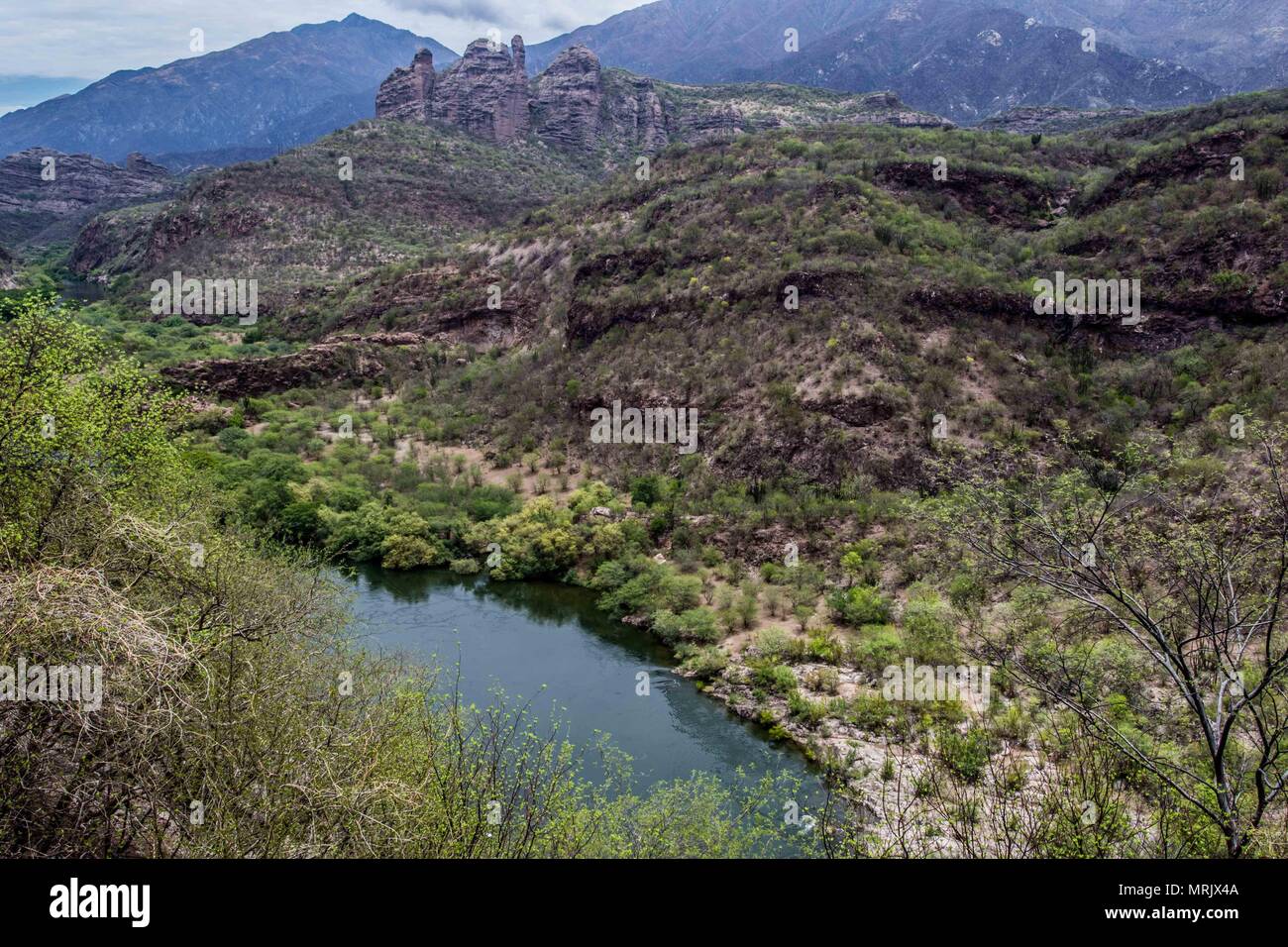 great flow of millions of cubic meters of water from the Yaqui River ...