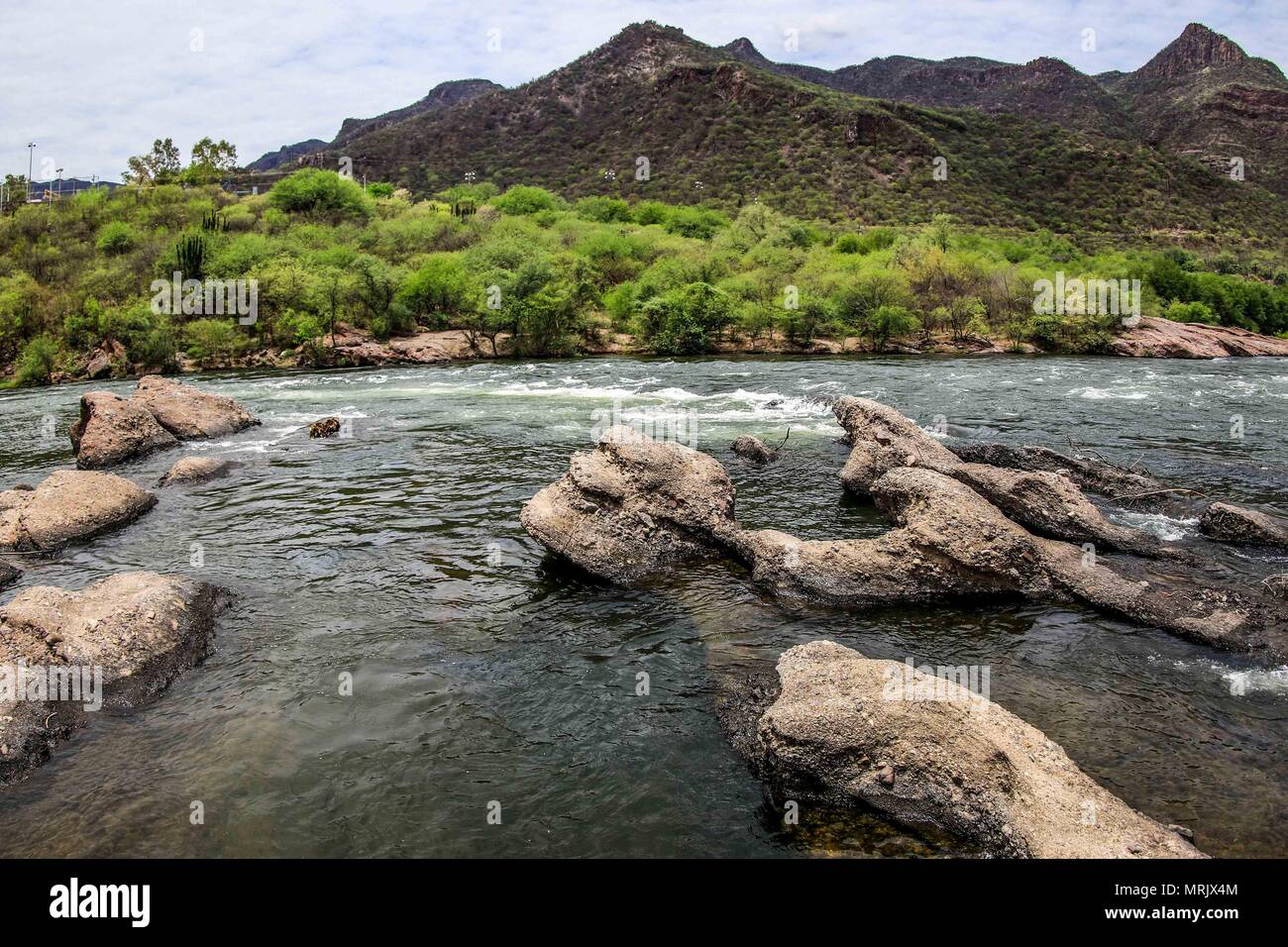 great flow of millions of cubic meters of water from the Yaqui River ...