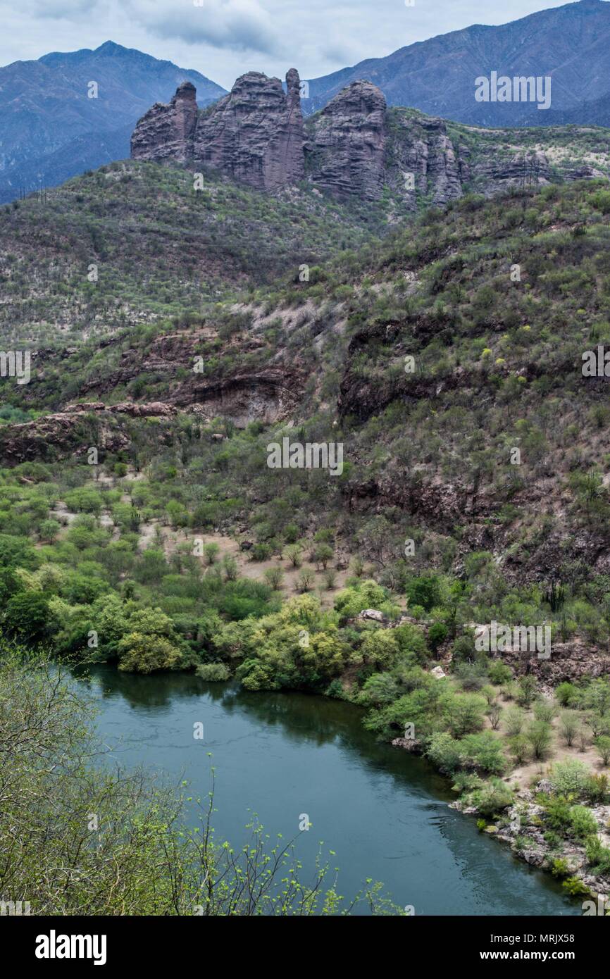 great flow of millions of cubic meters of water from the Yaqui River ...
