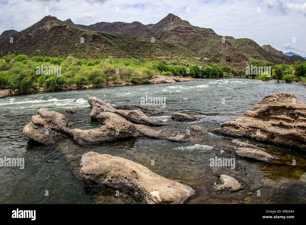 great flow of millions of cubic meters of water from the Yaqui River ...