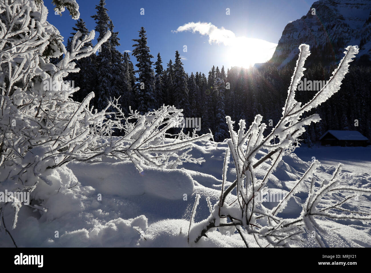 Magical winter landscape scenery hi-res stock photography and images ...