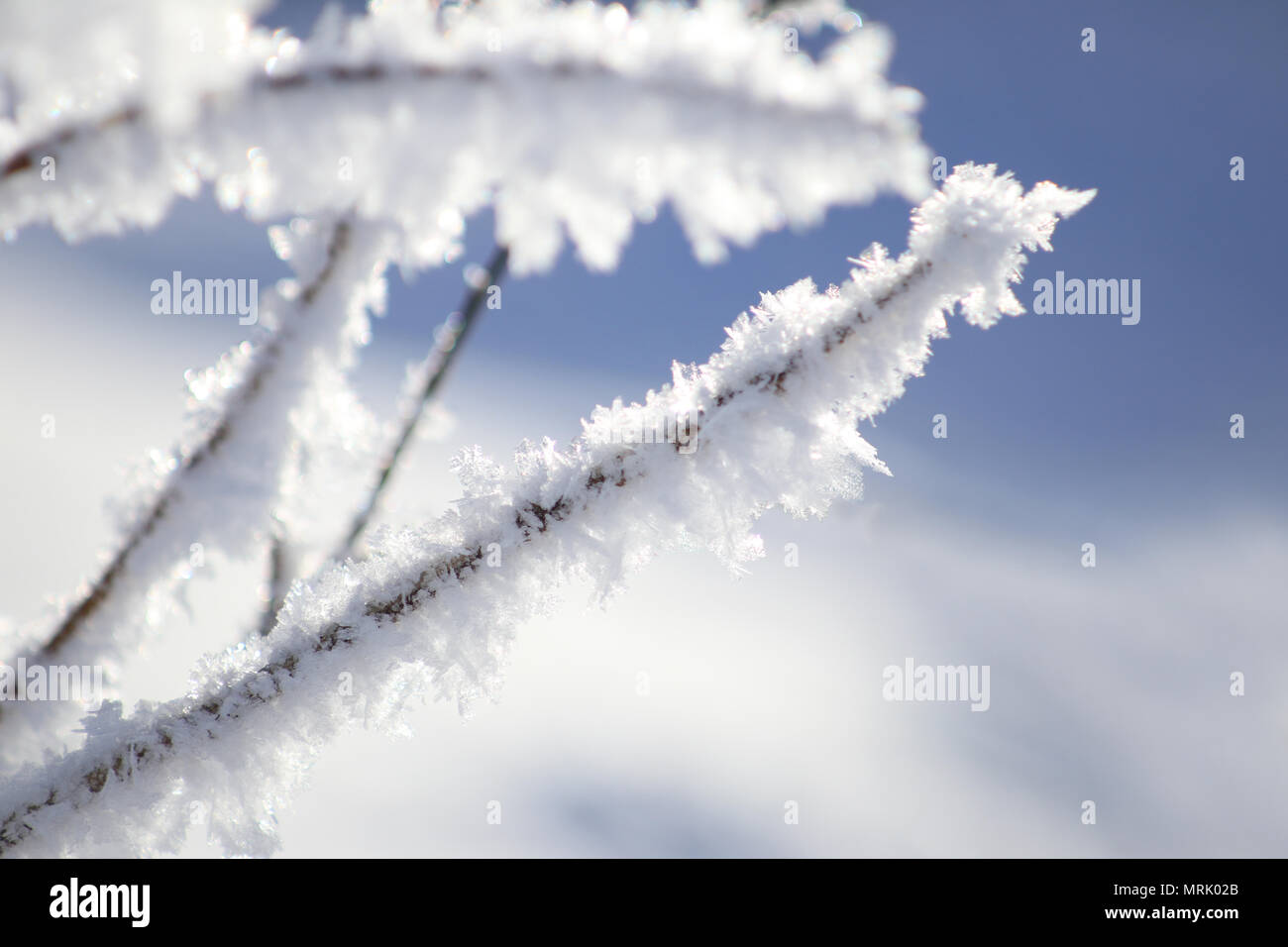Magical winter landscape scenery hi-res stock photography and images ...