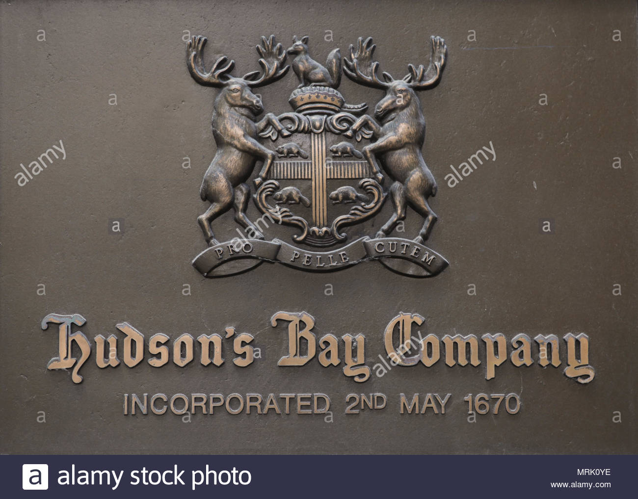 Beaver Logo High Resolution Stock Photography and Images - Alamy