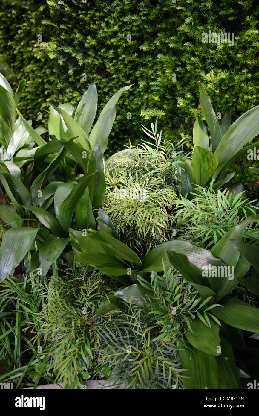 The VTB Capital Garden brings together original music, ballet, garden ...
