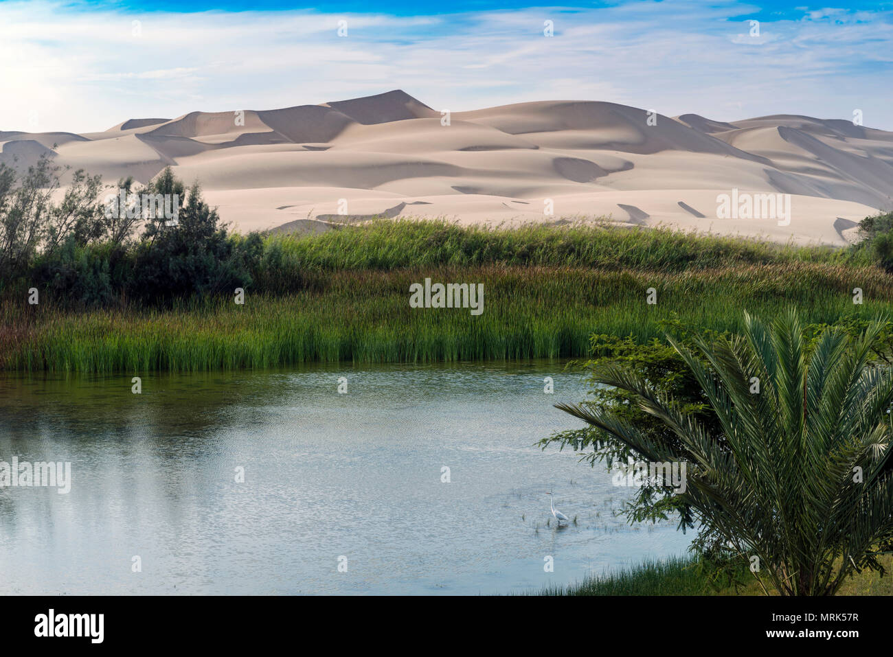 Desert of Ica in Peru, sand dunes and lagoon, South America Stock Photo ...