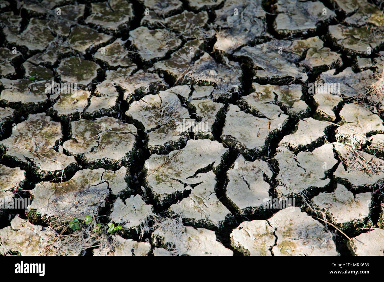 Dried out cracked mud surface background Stock Photo - Alamy