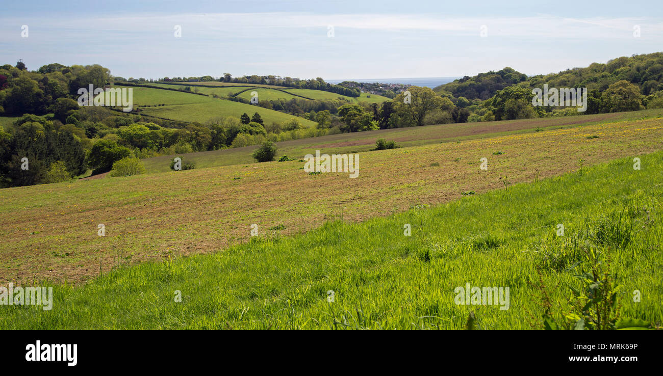 Hedge field boundaries hi-res stock photography and images - Alamy