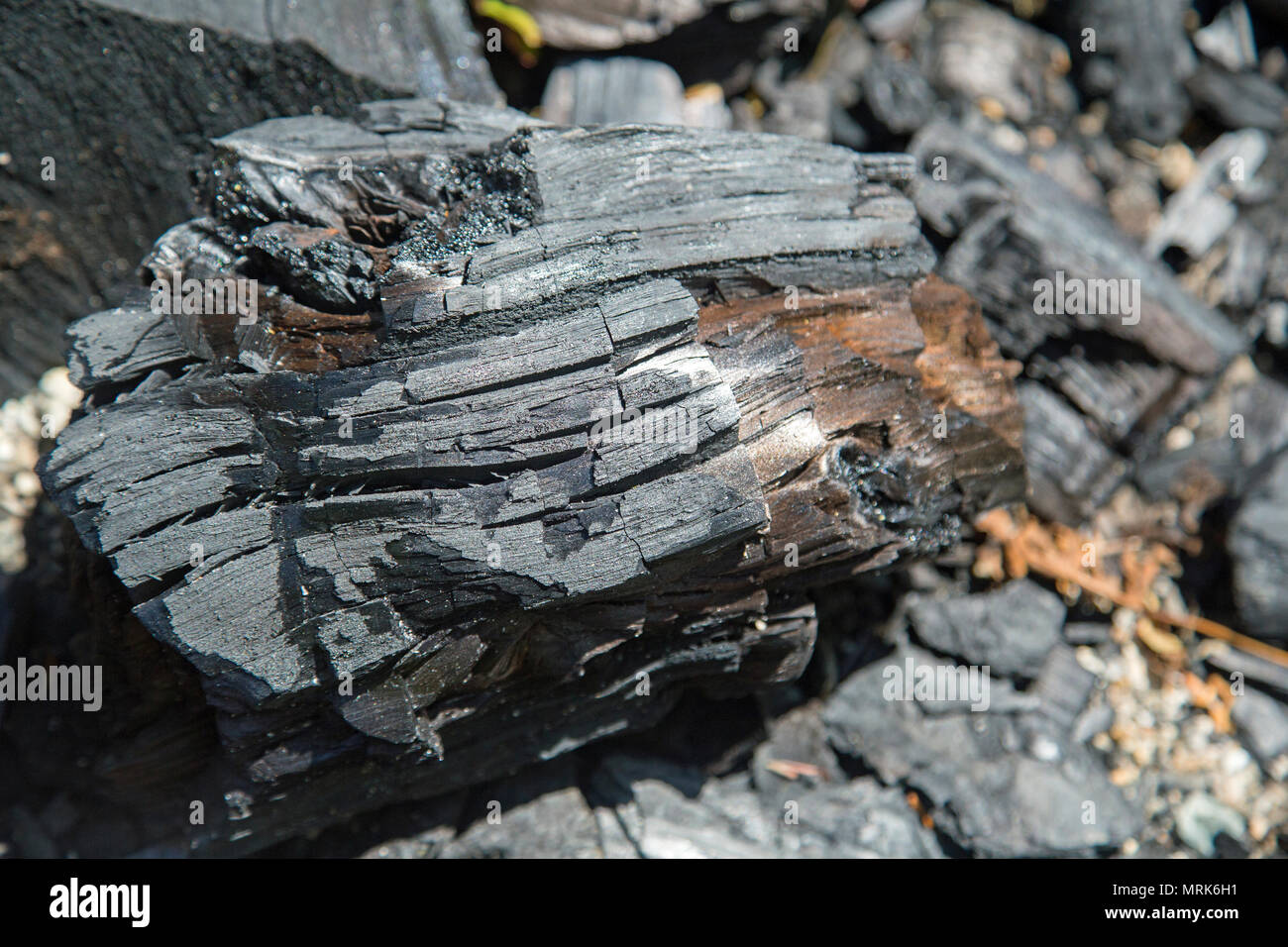 Charred timber at a charcoal burner Stock Photo - Alamy