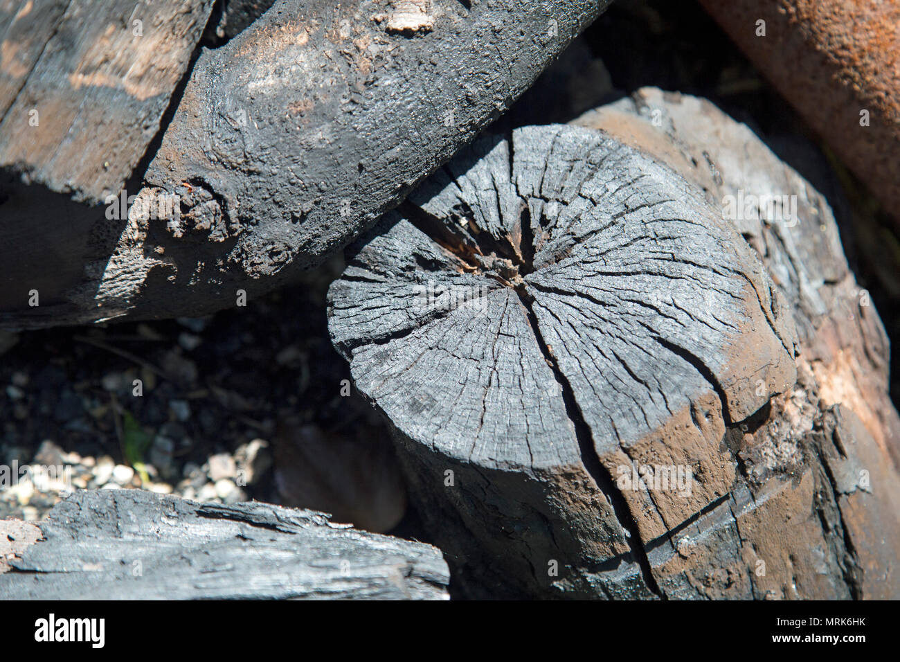 Charred timber at a charcoal burner Stock Photo - Alamy