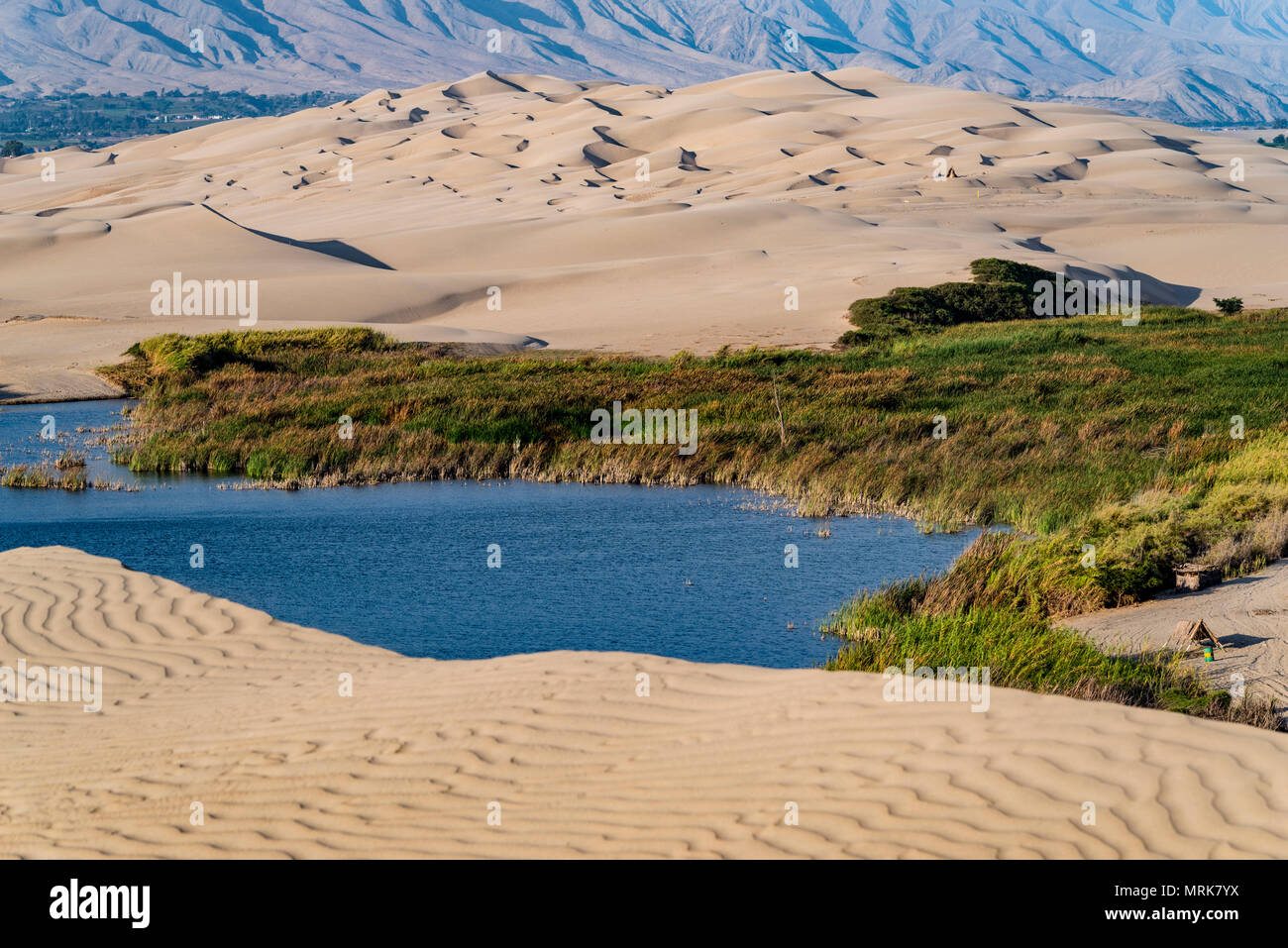 Lagoon in the desert hi-res stock photography and images - Alamy