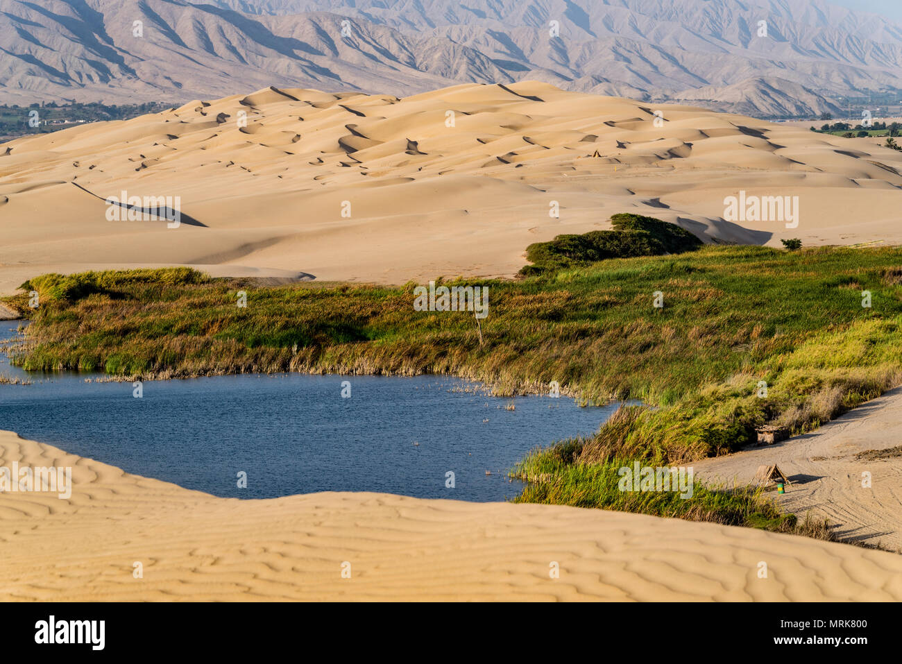 Desert of Ica in Peru, sand dunes and lagoon, South America Stock Photo ...