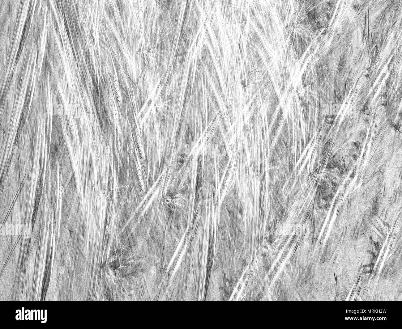Grunge abstract black background on white backdrop. Two colors ...