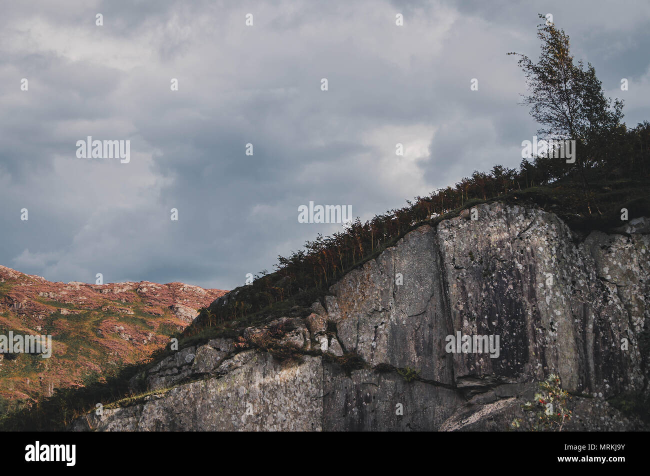 Dull walls hi-res stock photography and images - Alamy