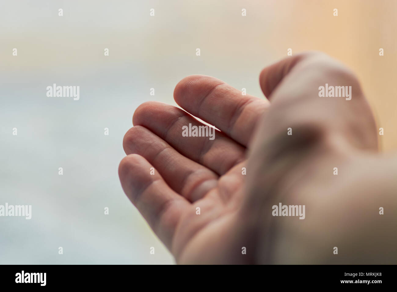 Horror pointer hi-res stock photography and images - Alamy