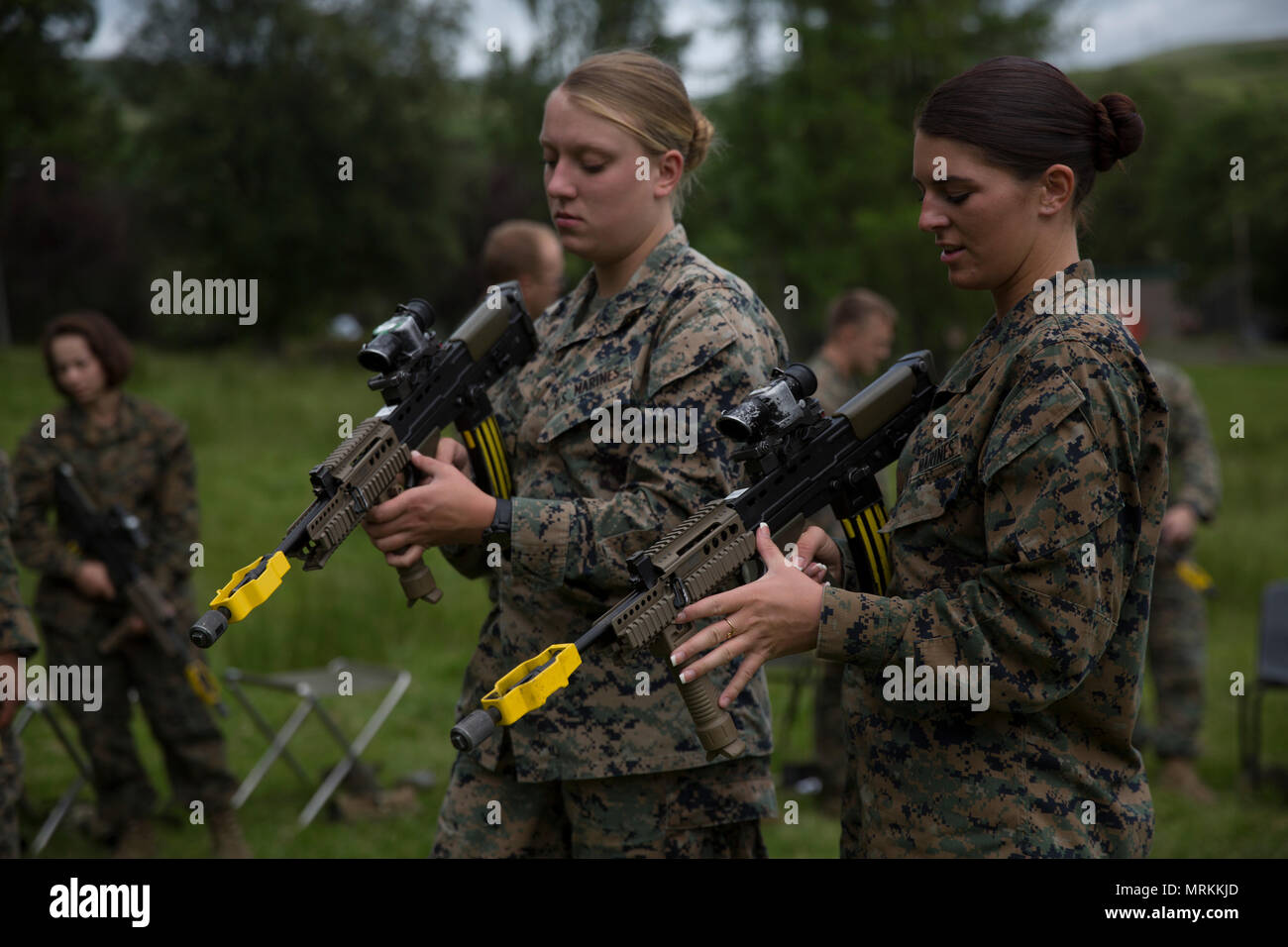 U.S. Marines perform a functions check on SA80 Assault Rifles during ...