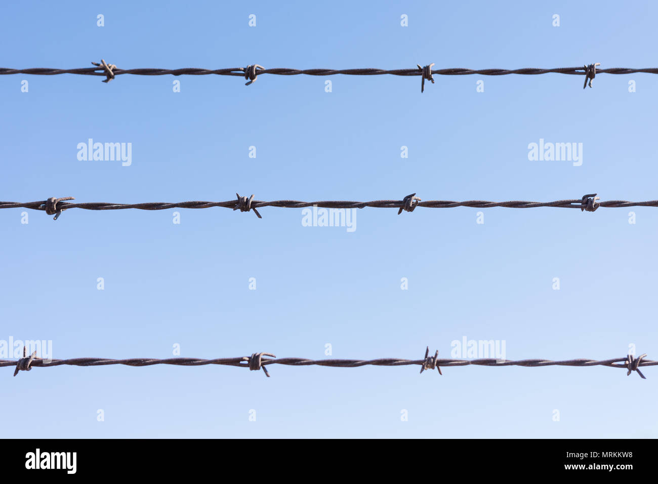 Strands of barbed wire hi-res stock photography and images - Alamy