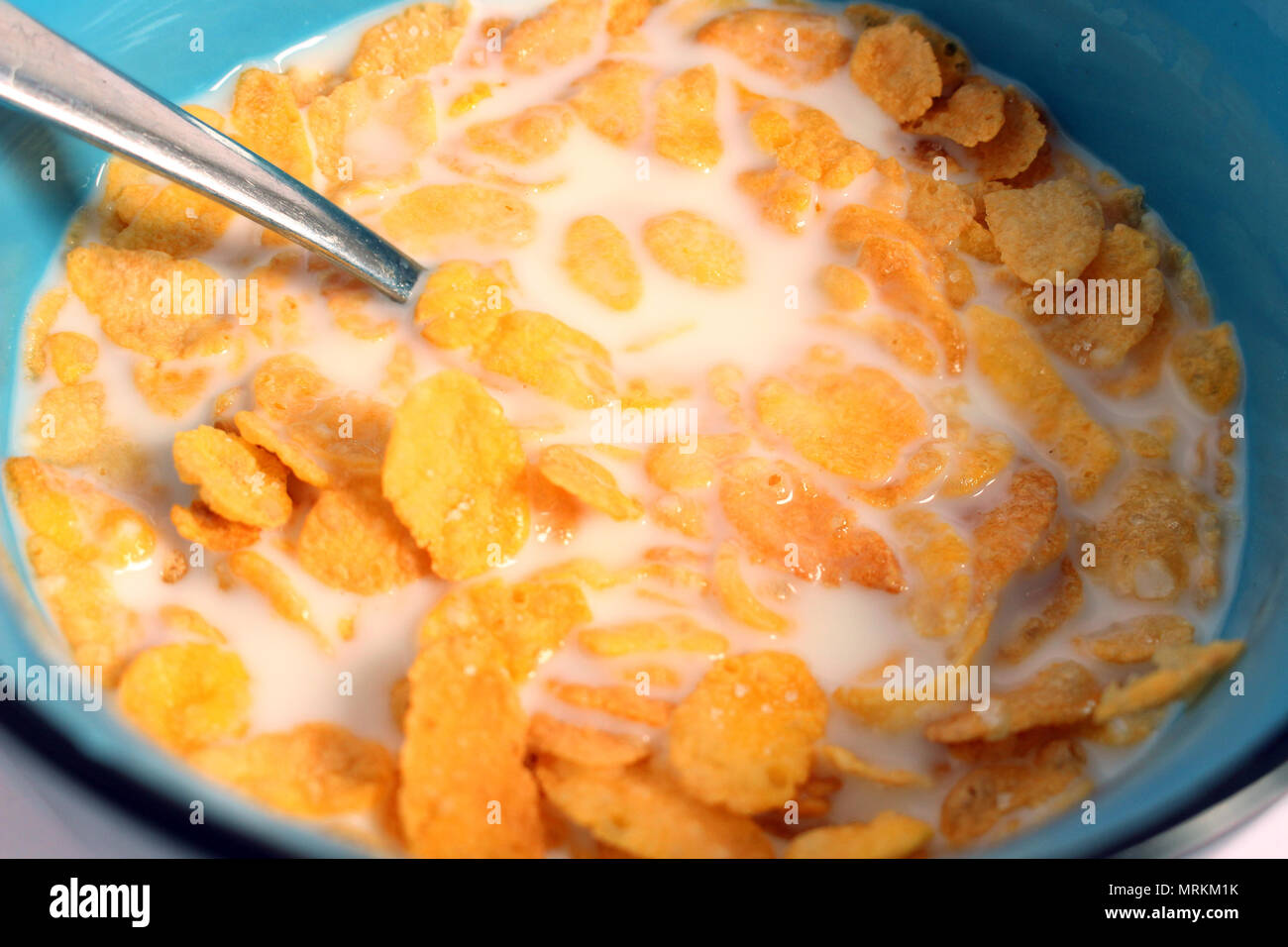 Corn flakes, cereals with milk Stock Photo - Alamy