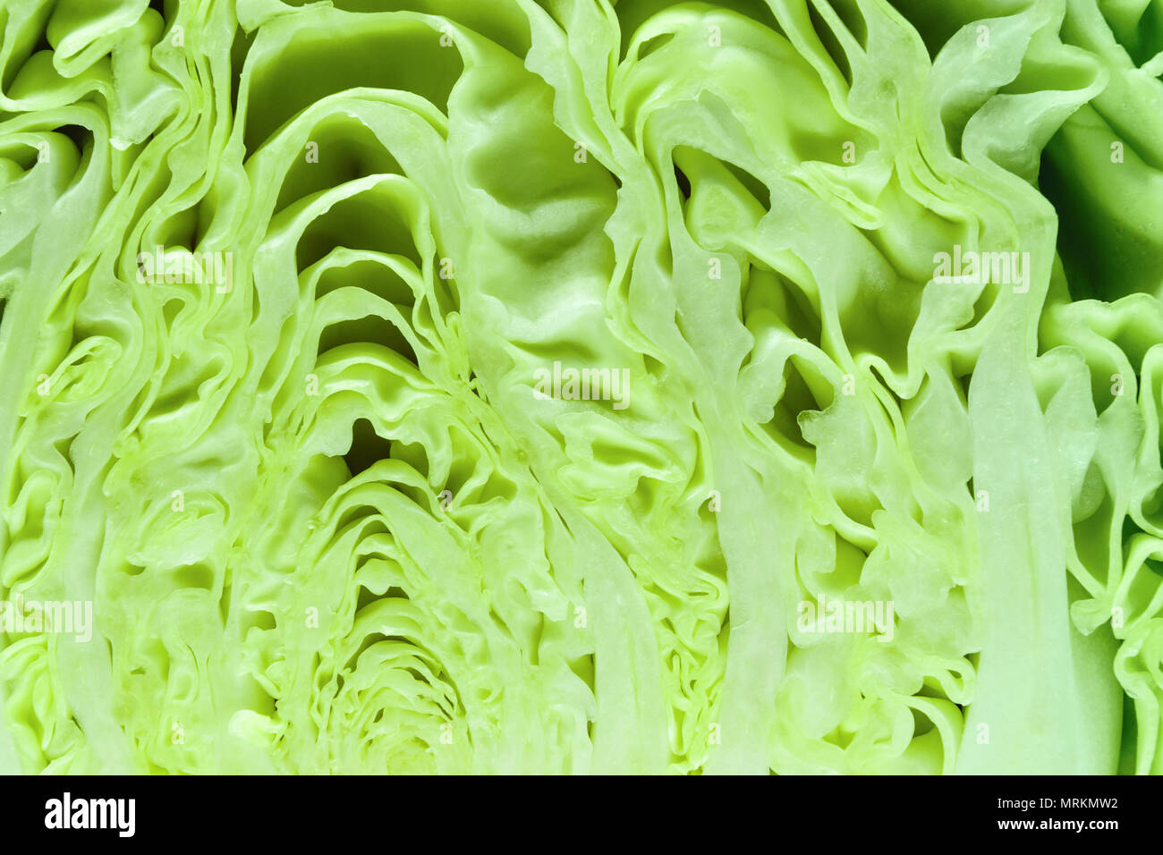 Fresh yellow and green cabbage head cut in the half background surface ...