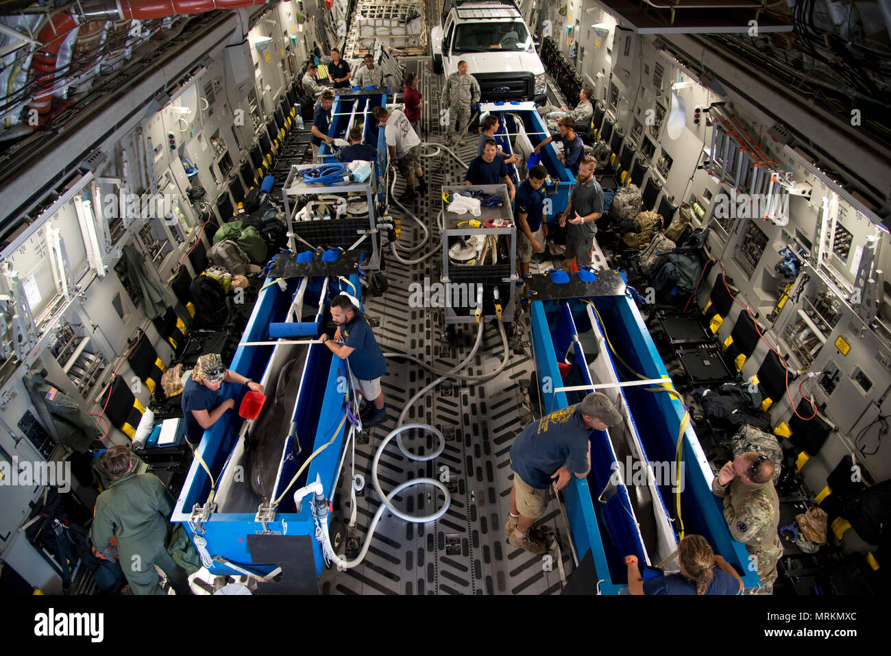 U.S. Navy Marine Mammal Program dolphin trainers tend to their dolphins ...