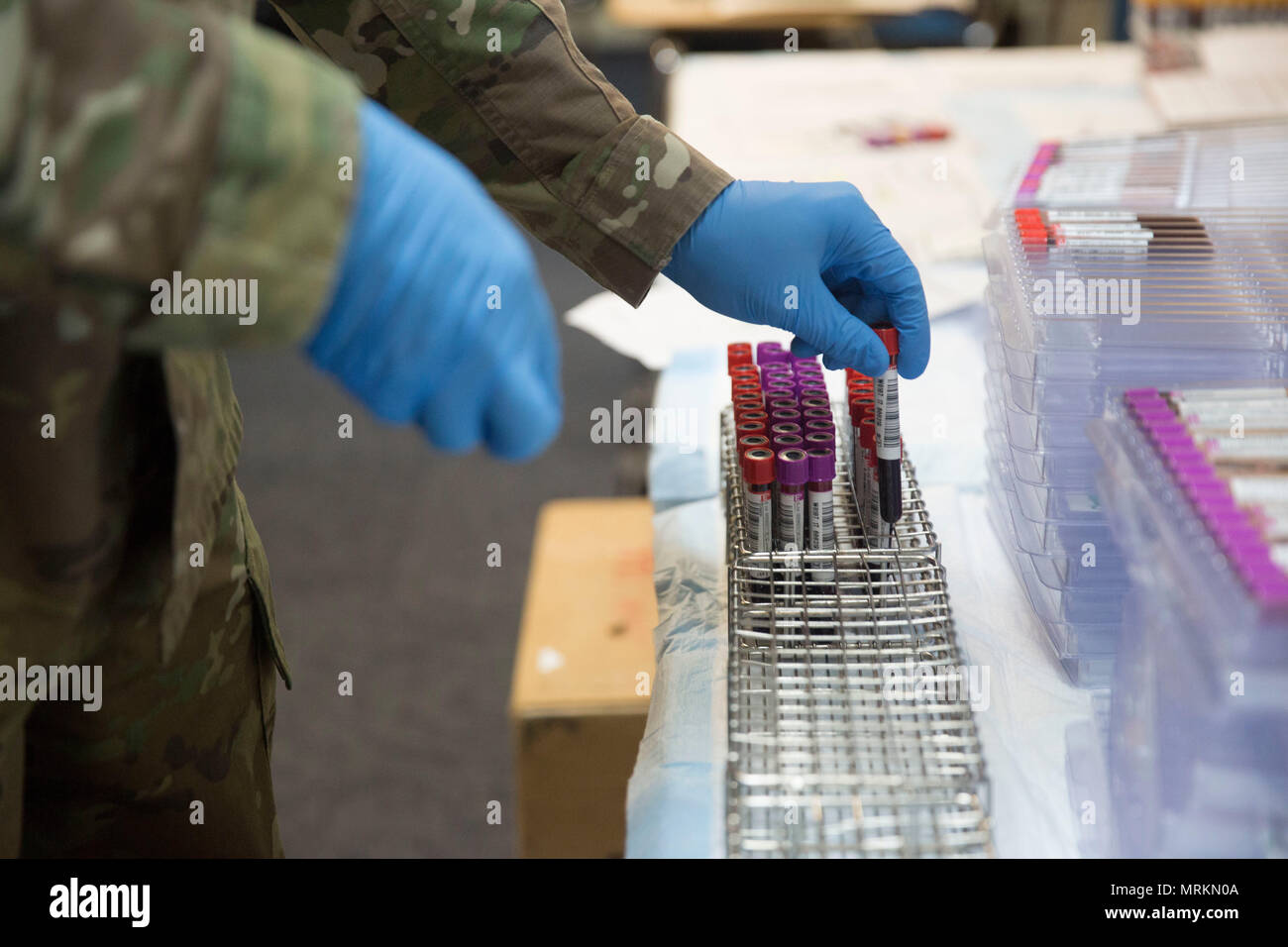 An Army medic sorts through blood samples for prescreening during a ...