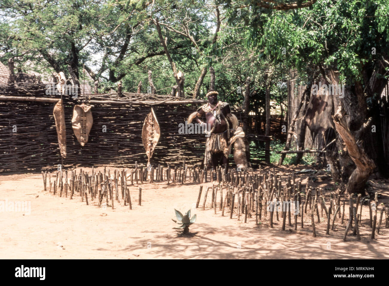 Zulu people at the Shakaland Zulu Village, Nkwalini Valley, Kwazulu ...