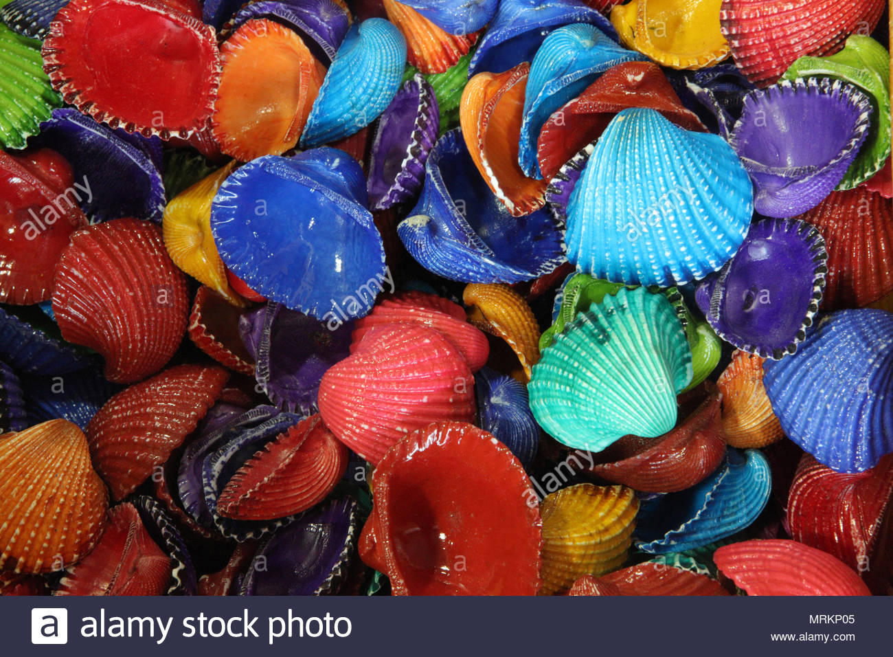 Painted Seashells High Resolution Stock Photography and Images - Alamy