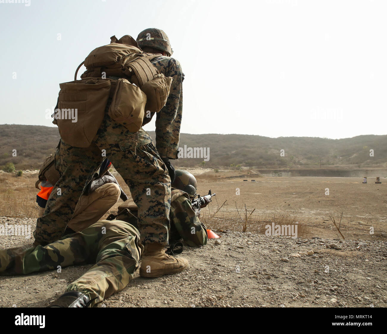 Senegalese rifleman hi-res stock photography and images - Alamy