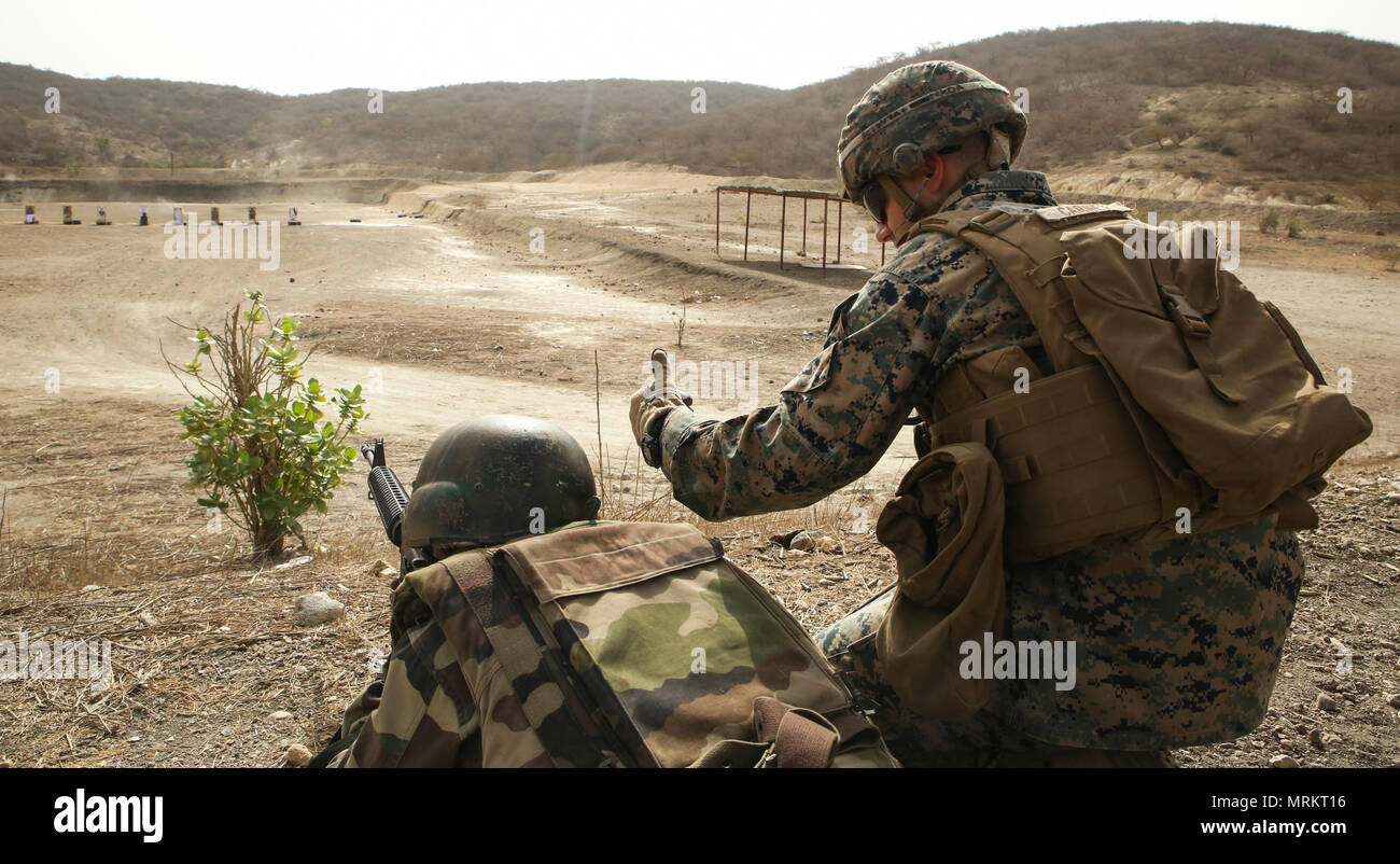 Senegalese rifleman hi-res stock photography and images - Alamy