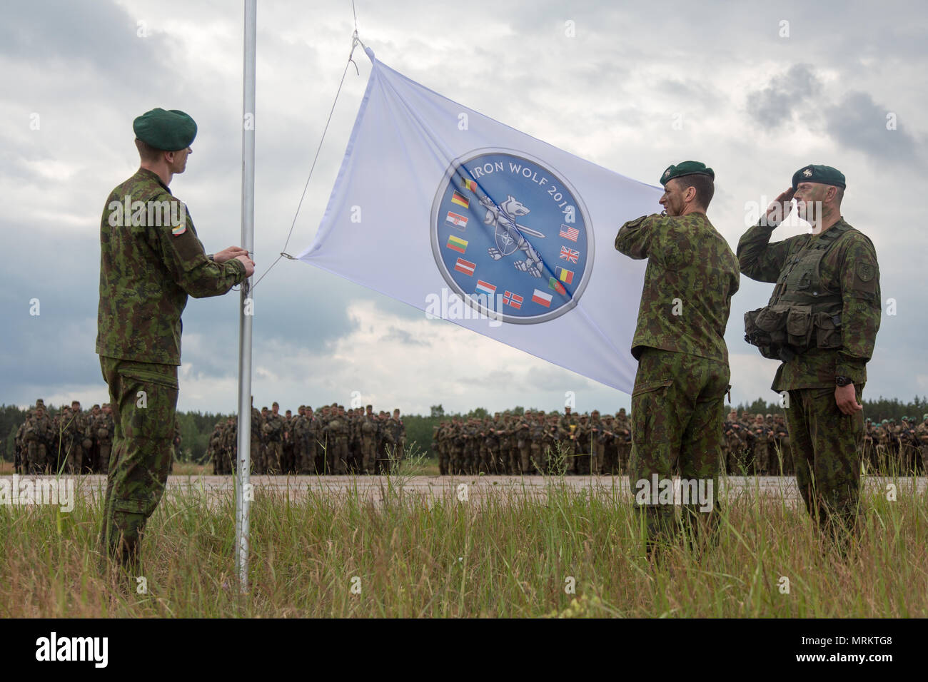 Lithuanian soldiers, assigned to Iron Wolf Brigade, lower the Iron Wolf ...