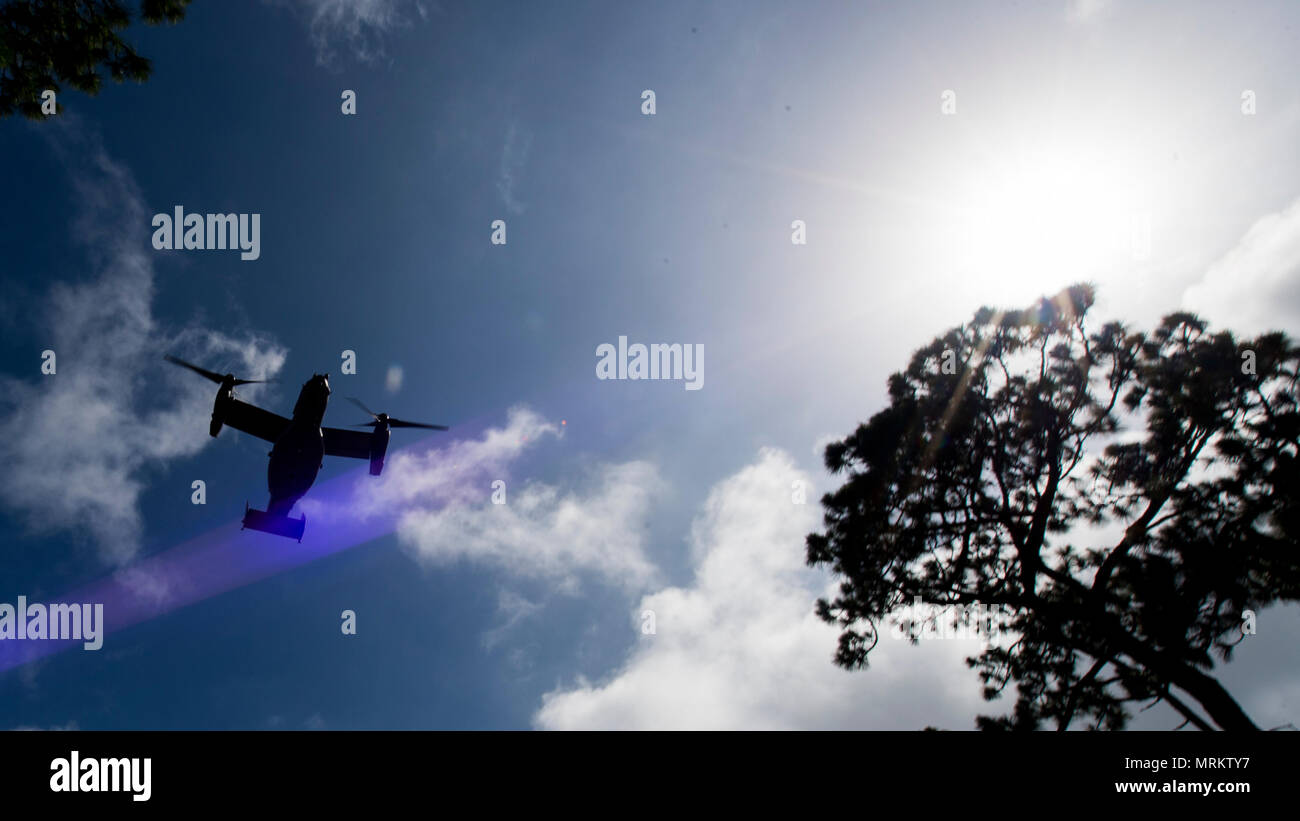 Operation eagle claw hi-res stock photography and images - Alamy