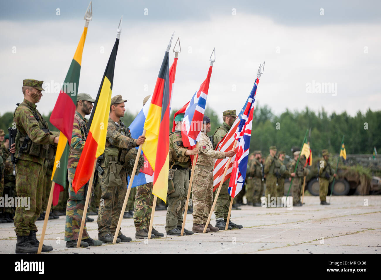 Battle Group Lithuania and the Iron Wolf Brigade soldiers stand in ...