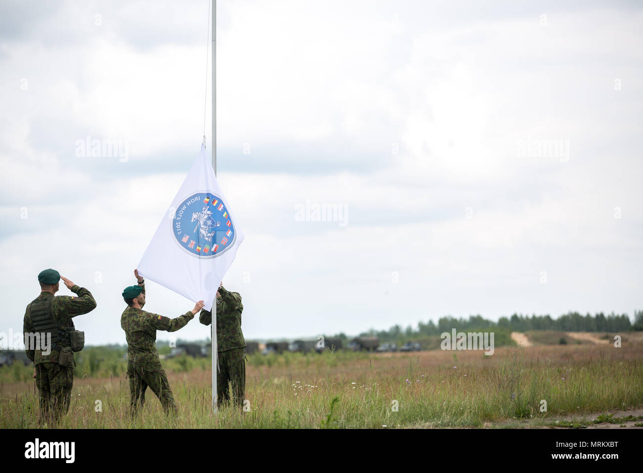 Iron wolf 17 hi-res stock photography and images - Alamy