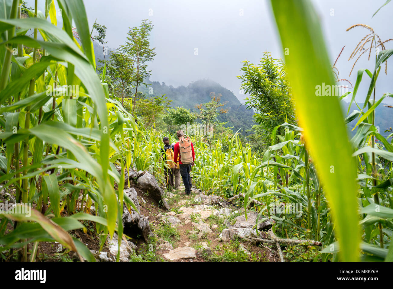 New mexico corn cave hi-res stock photography and images - Alamy