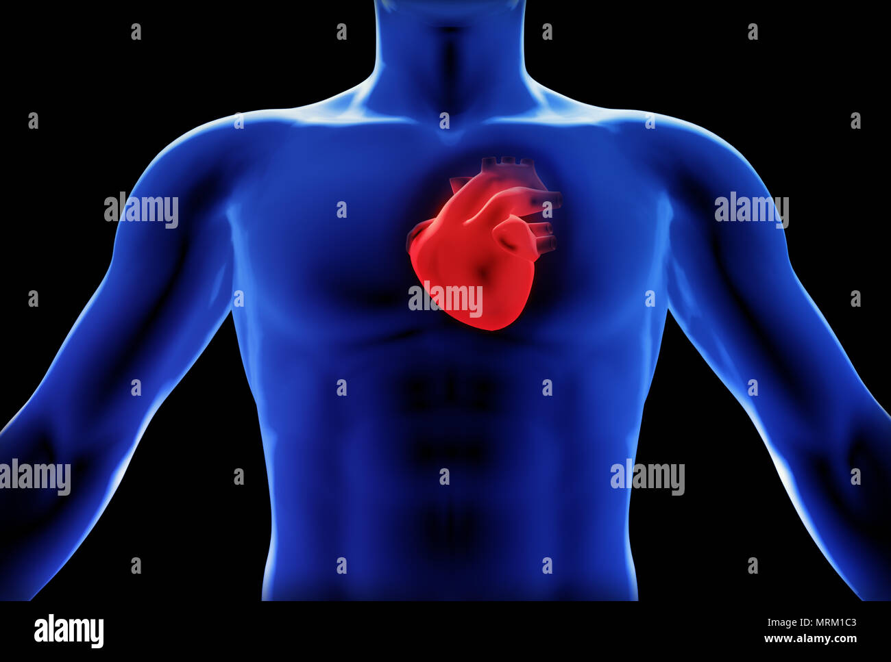 Human heart x-ray concept,Part of a medical series Stock Photo - Alamy