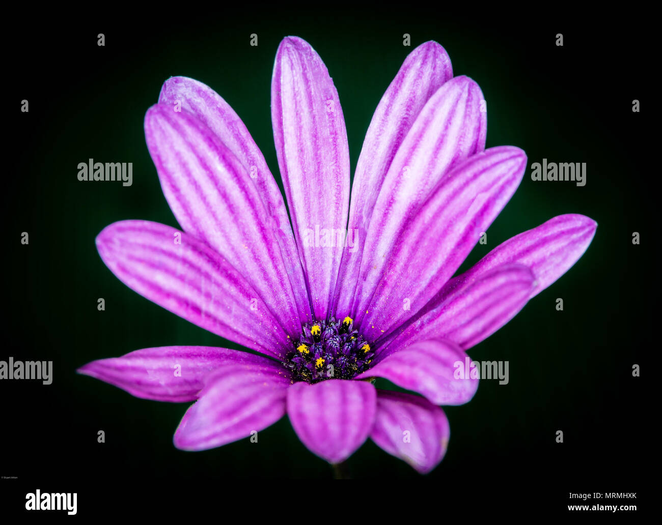 Deeper background hi-res stock photography and images - Alamy