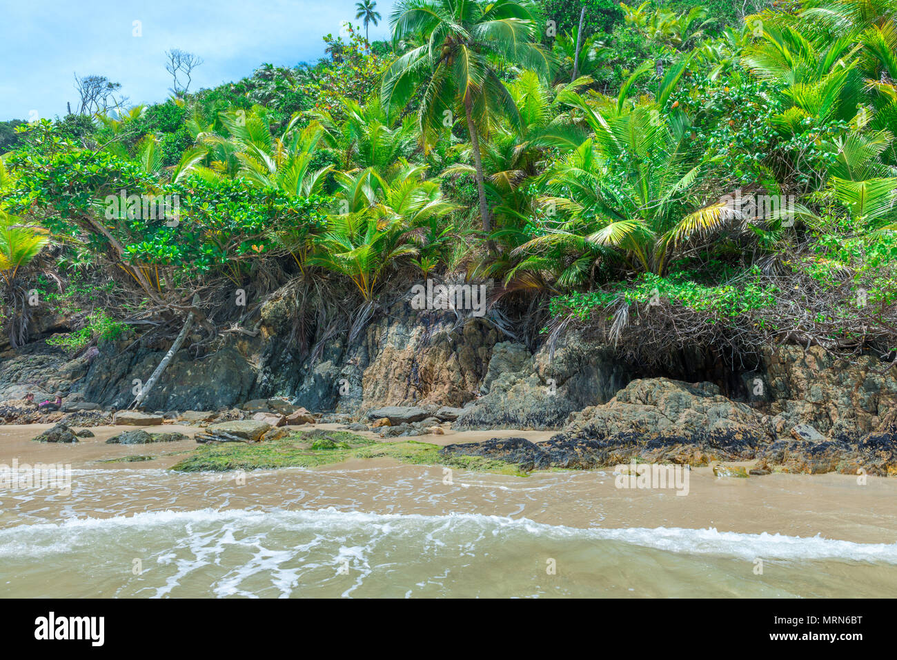 Natural vegetation monster face done by nature on the right inside ...