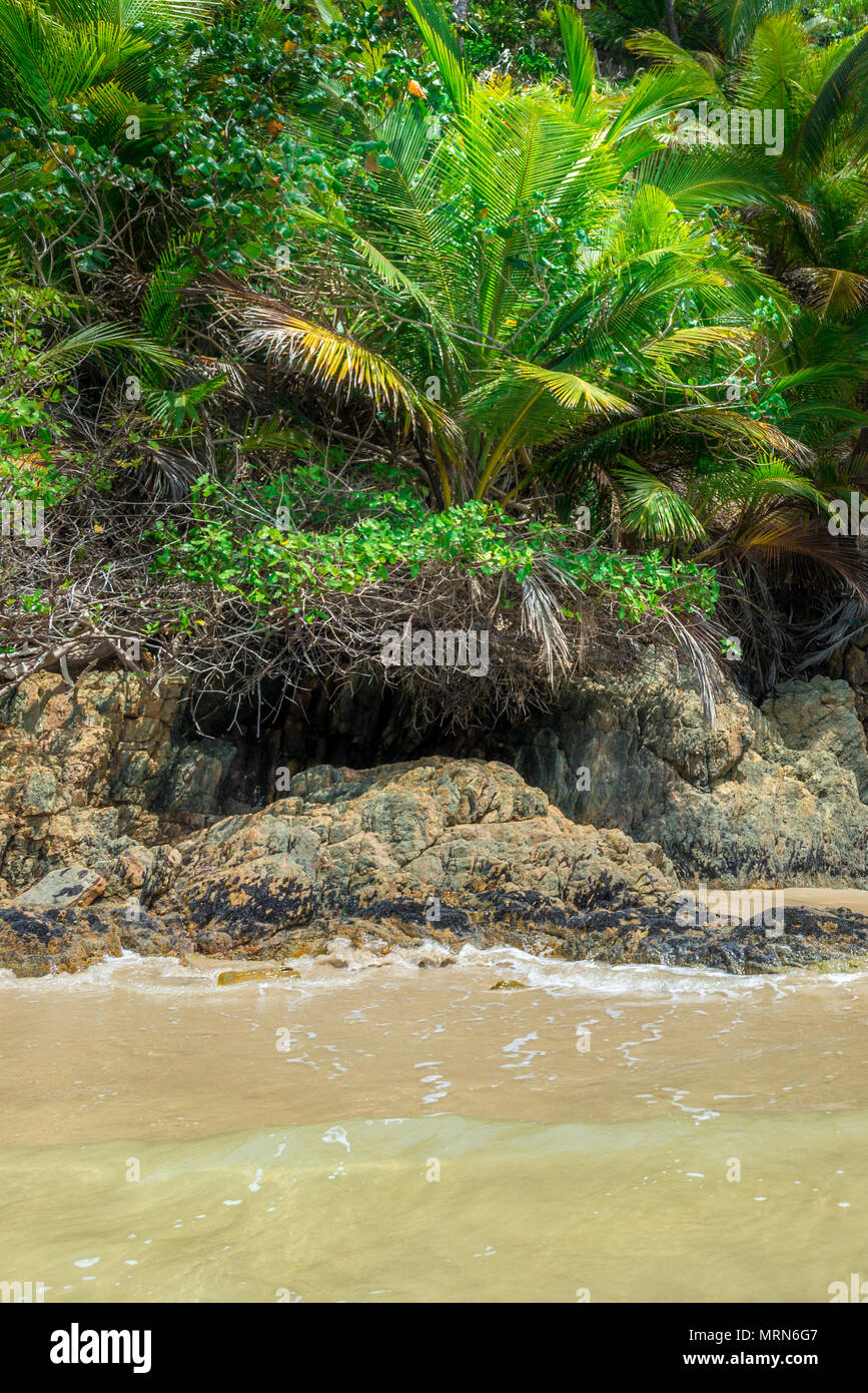 Natural vegetation monster face done by nature on the left inside Stock ...
