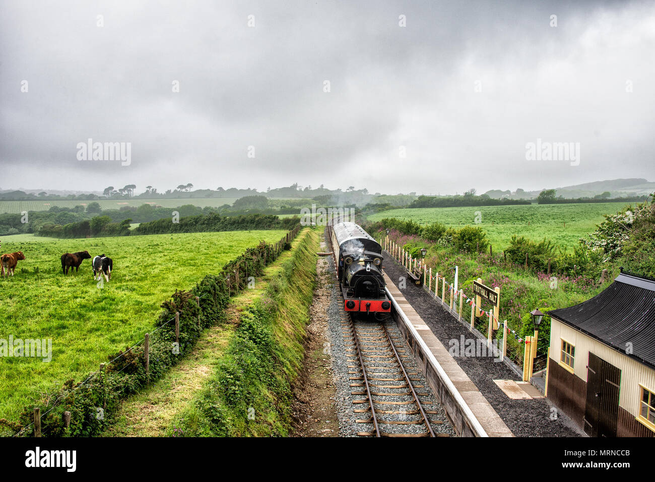 Steam train Helston Cornwall uk England the most southerly train line ...