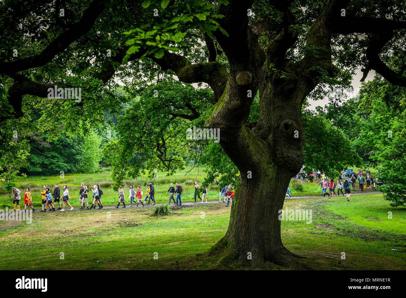 Swansea's singleton park hi-res stock photography and images - Alamy