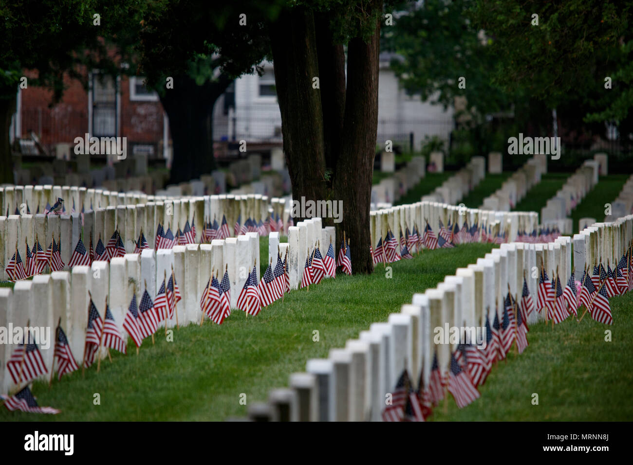 Philadelphia, PA, USA. 27th May, 2018. Headstones marking the graves of ...
