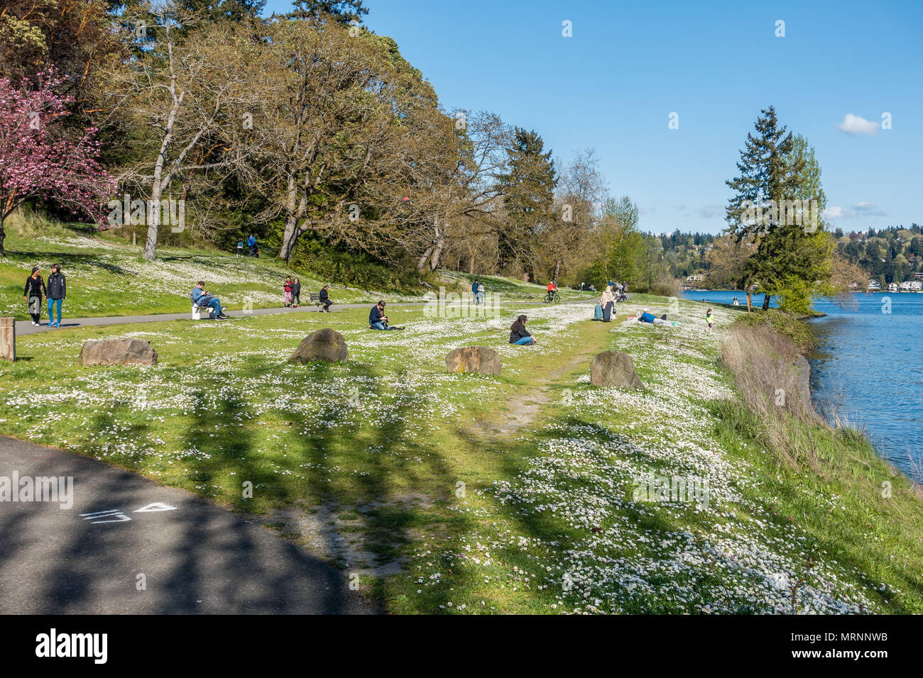 People enjoy the Spring at Seward Park in Seattle, Washington Stock ...