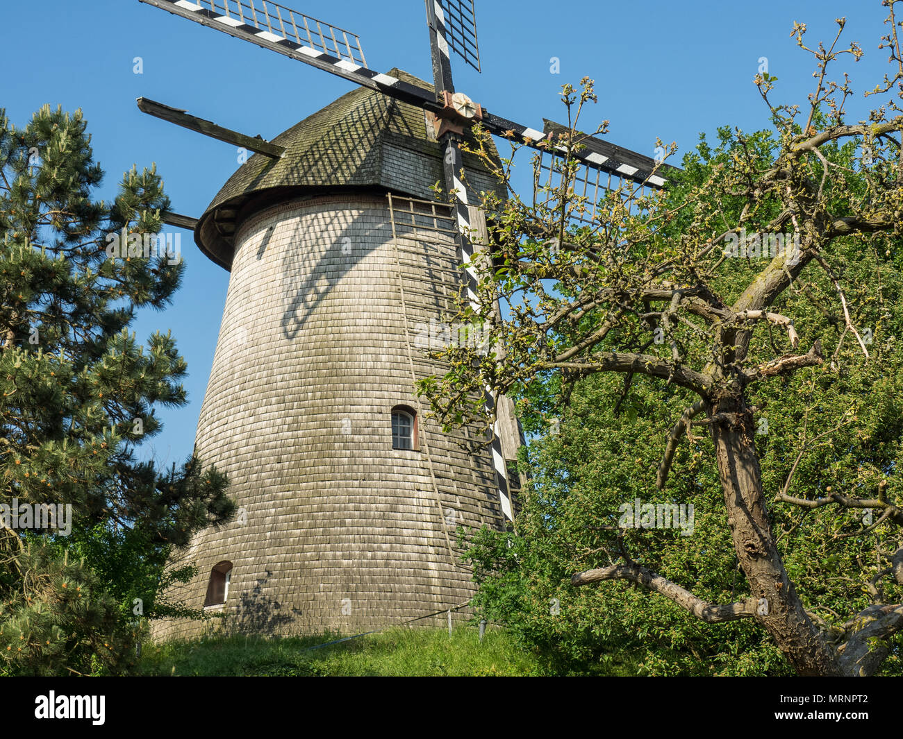 Anholt windmill hi-res stock photography and images - Alamy